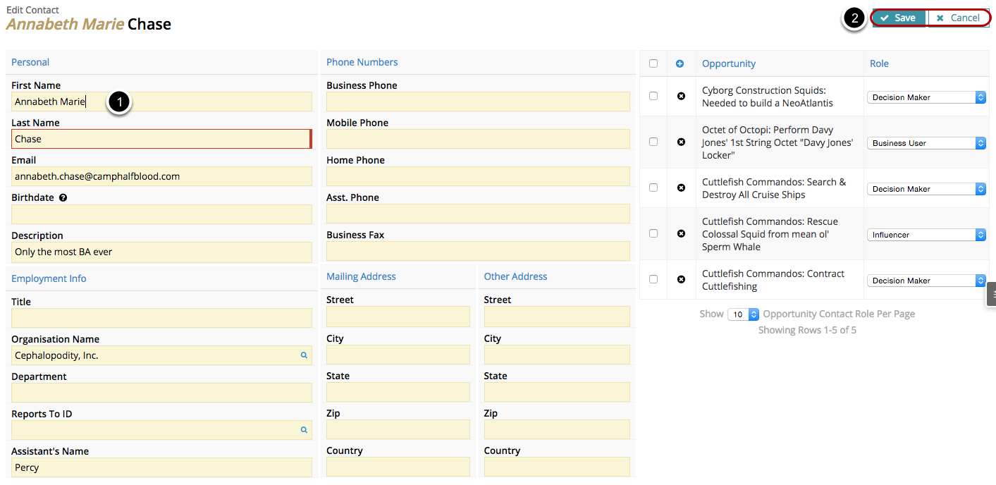 Create A Custom Edit Page And Set Visualforce Overrides — Skuid V13015 Documentation