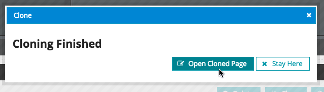 Create a Custom Clone Page — Skuid v16.0.6 Documentation