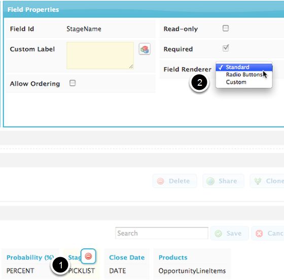 Field Rendering Options — Skuid v16.0.6 Documentation