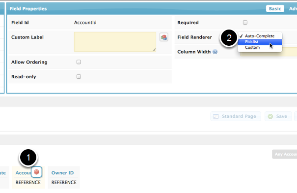 Field Rendering Options — Skuid v16.0.6 Documentation