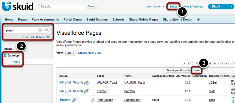 Reclaim the Salesforce Home Page — Skuid v16.0.6 Documentation